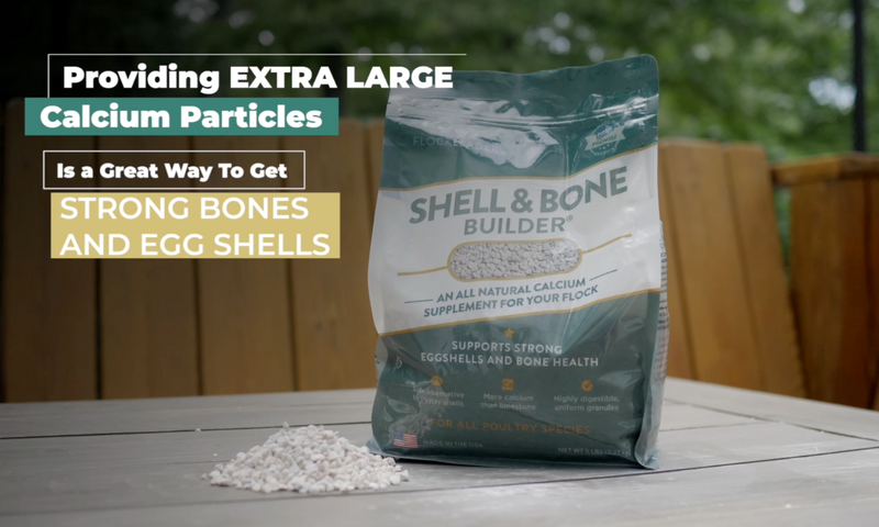 Introducing Shell & Bone Builder – Perdue FlockLeader