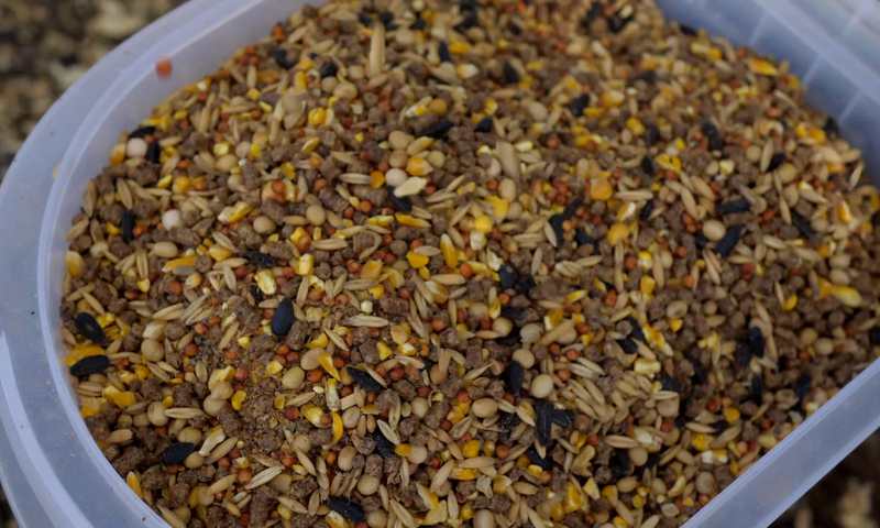 How to Store Chicken Feed Properly – Perdue FlockLeader